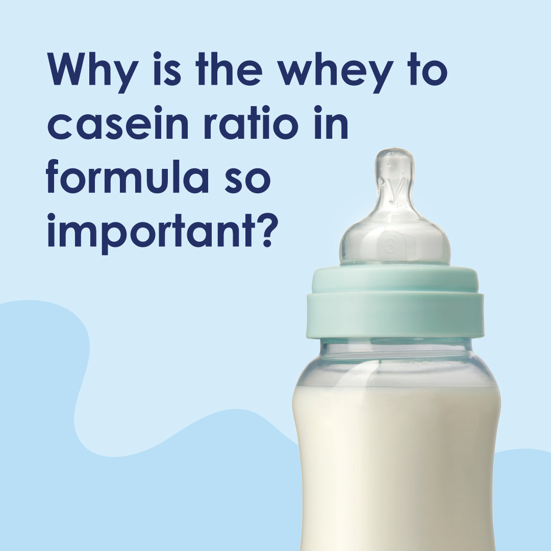 Whey Protein in Baby Formula | Kabrita USA